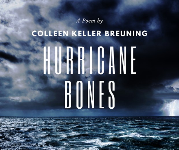 Hurricane Bones – Colleen Keller Breuning