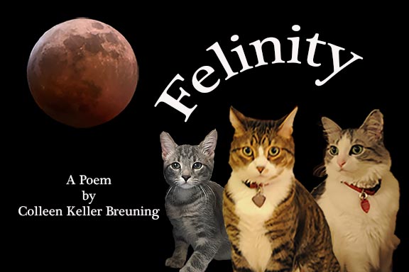 Felinity – Colleen Keller Breuning
