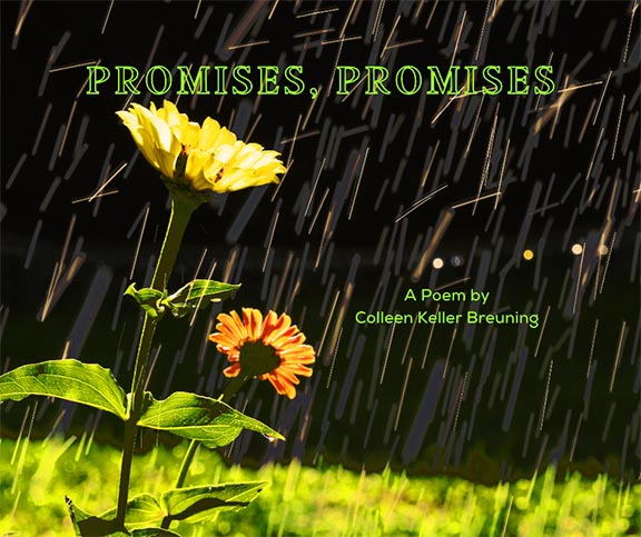 Promises, Promises – Colleen Keller Breuning