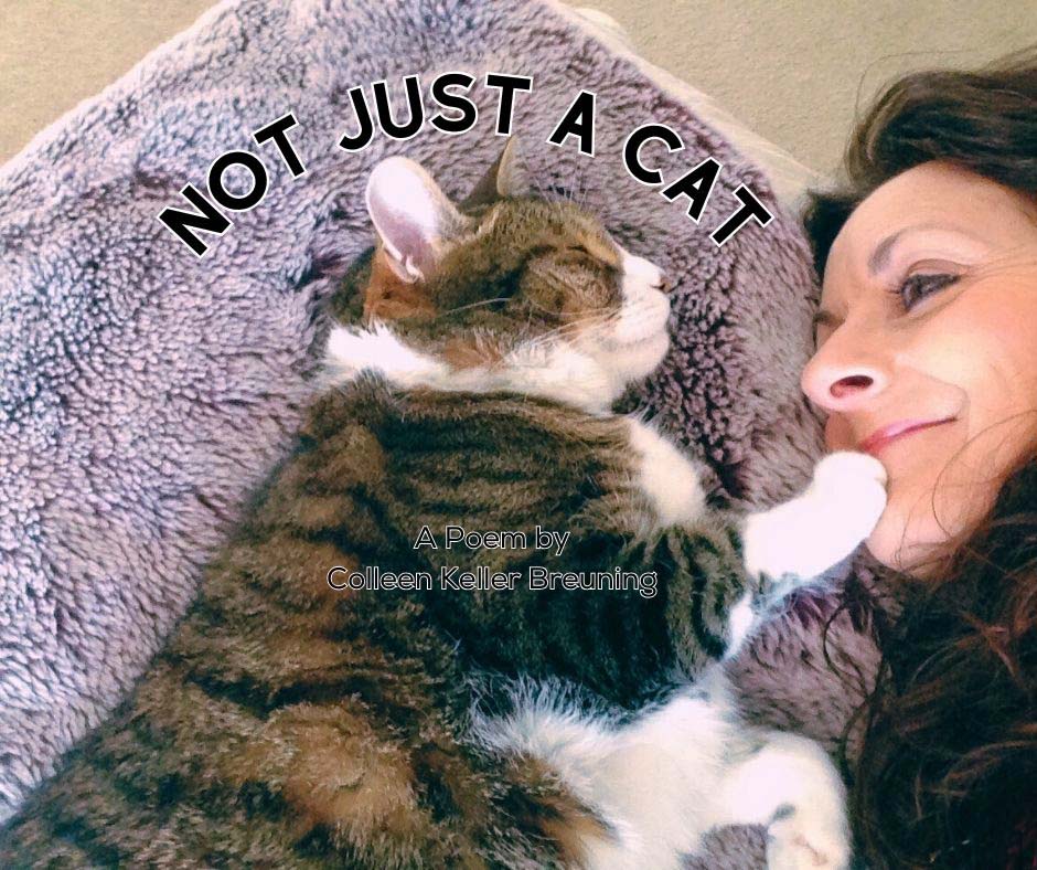 Not Just A Cat – Colleen Keller Breuning