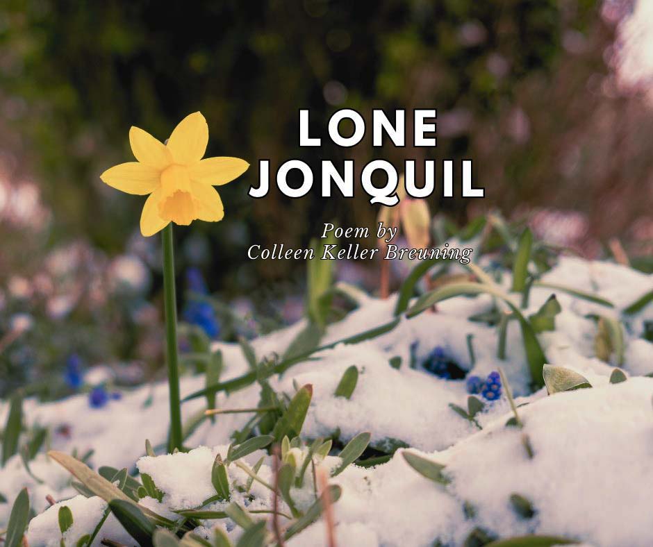 Lone Jonquil – Colleen Keller Breuning