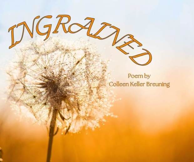 Ingrained – Colleen Keller Breuning