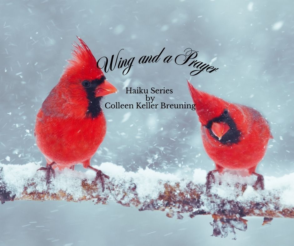 Wing and a Prayer – Colleen Keller Breuning