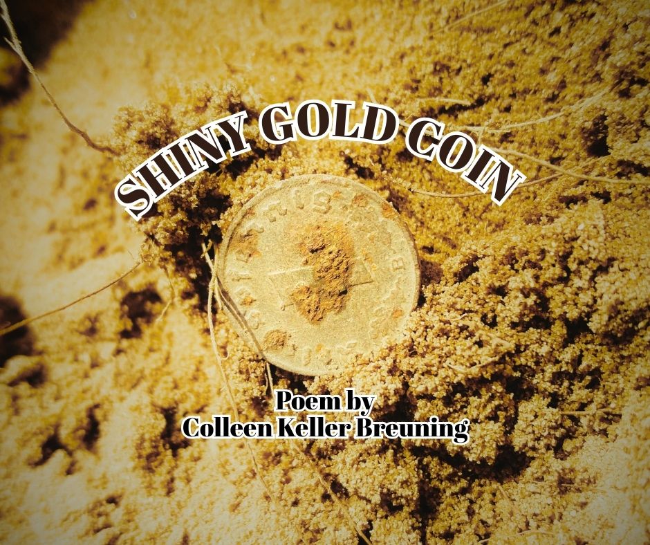 Shiny Gold Coin – Colleen Keller Breuning